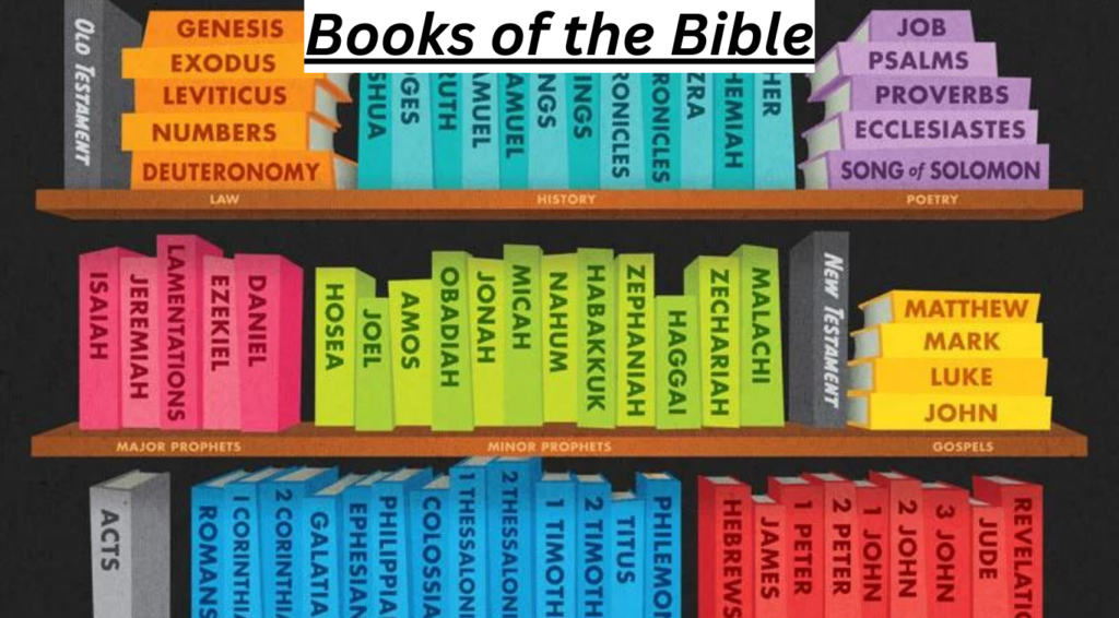 Exploring the Meaning and Significance of the Books of the Bible